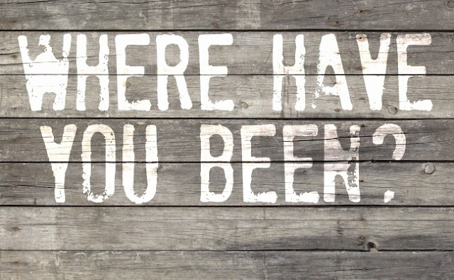 Where Have You Been? – bookish devices